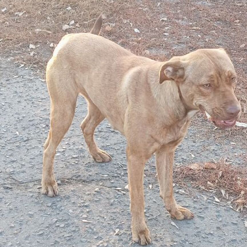 На улице Замерзает