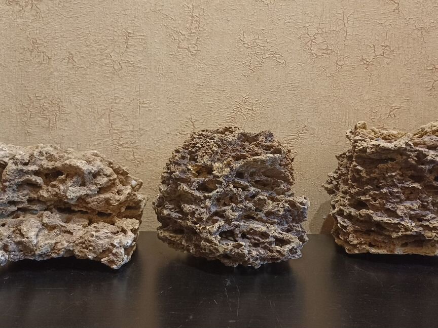 Камень Песчаник пещеристый