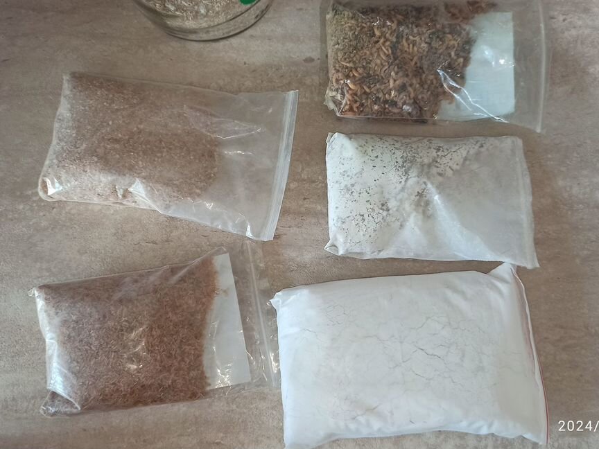 Корм для сухопутных улиток