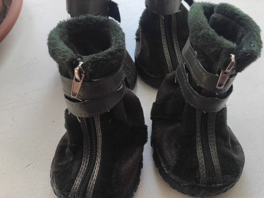 Обувь зимняя для собак