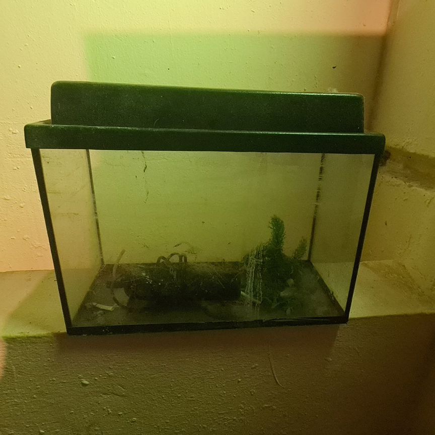 Аквариум прямоугольный