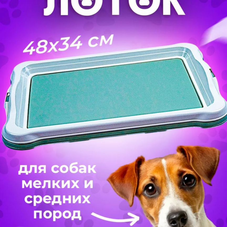 Лоток для собак под пеленку