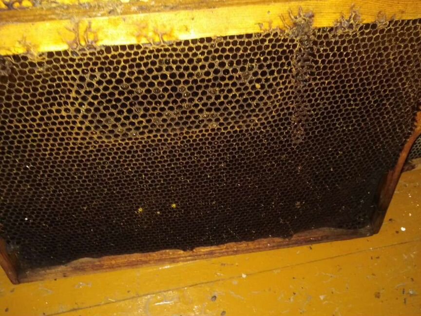 Рамки с вощиной