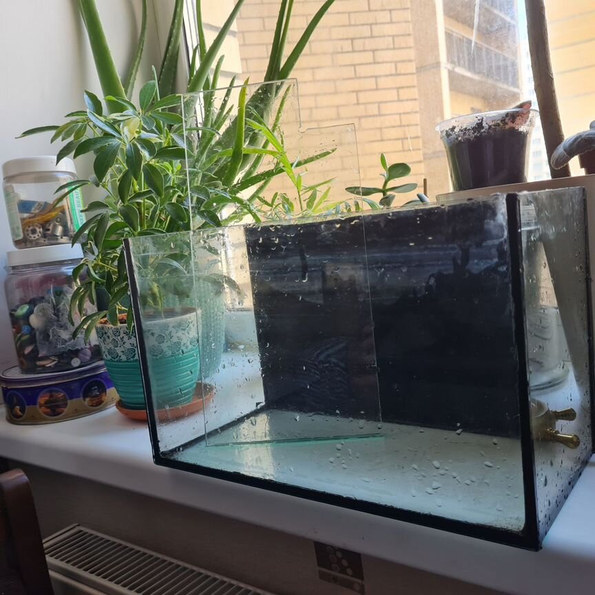 Аквариум террариум 10л