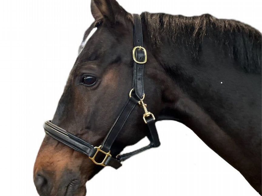 Недоуздок кожаный