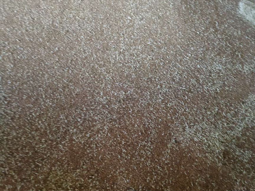 Зерно Горох,пшеница ячмень овес