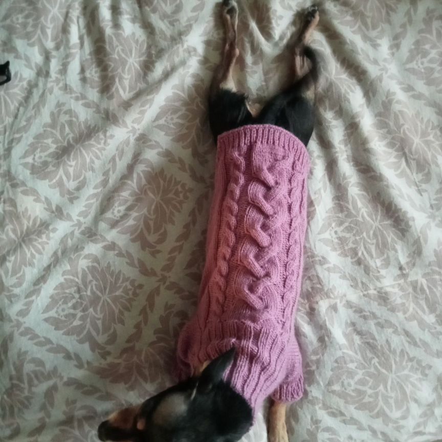 Кофточка для собачки