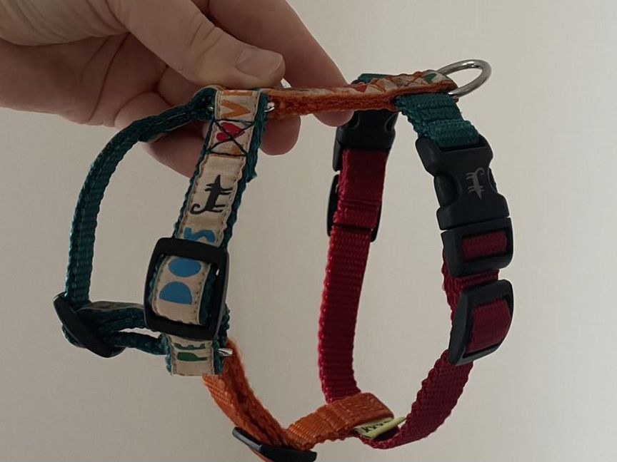 Шлейка Шарик