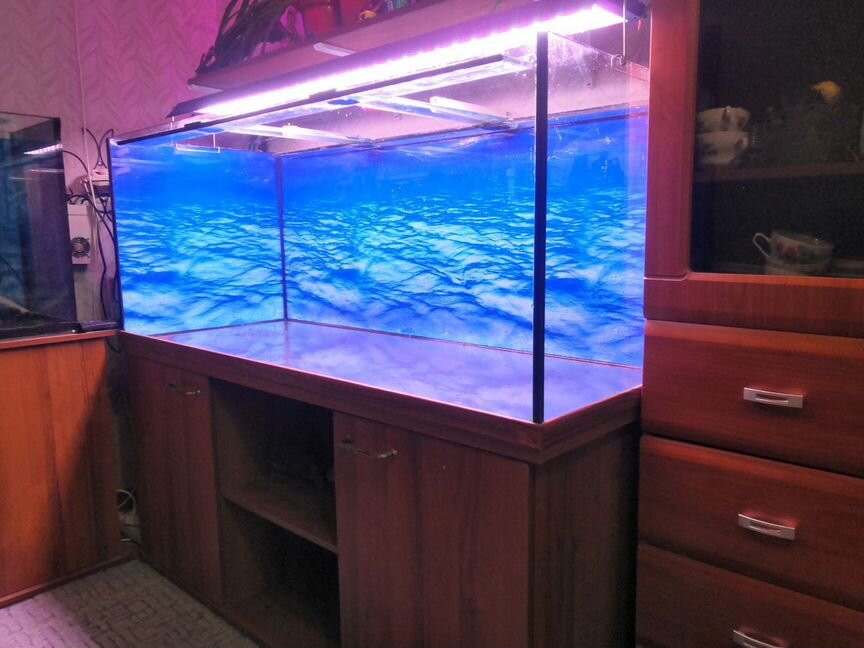 Аквариум, фильтр, светильник