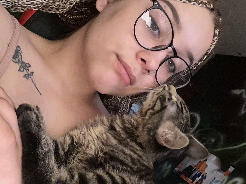 Котёнок