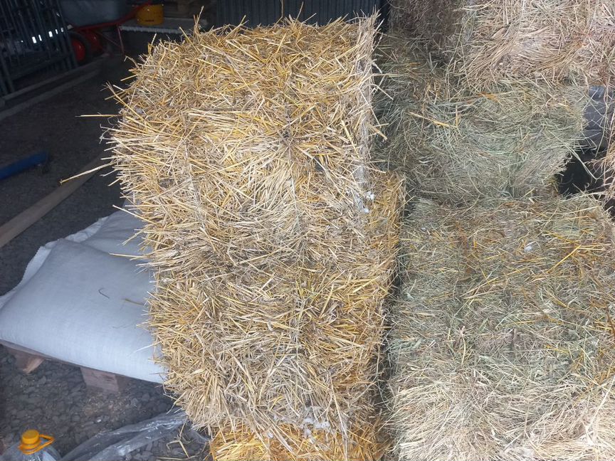 Сено солома в тюках