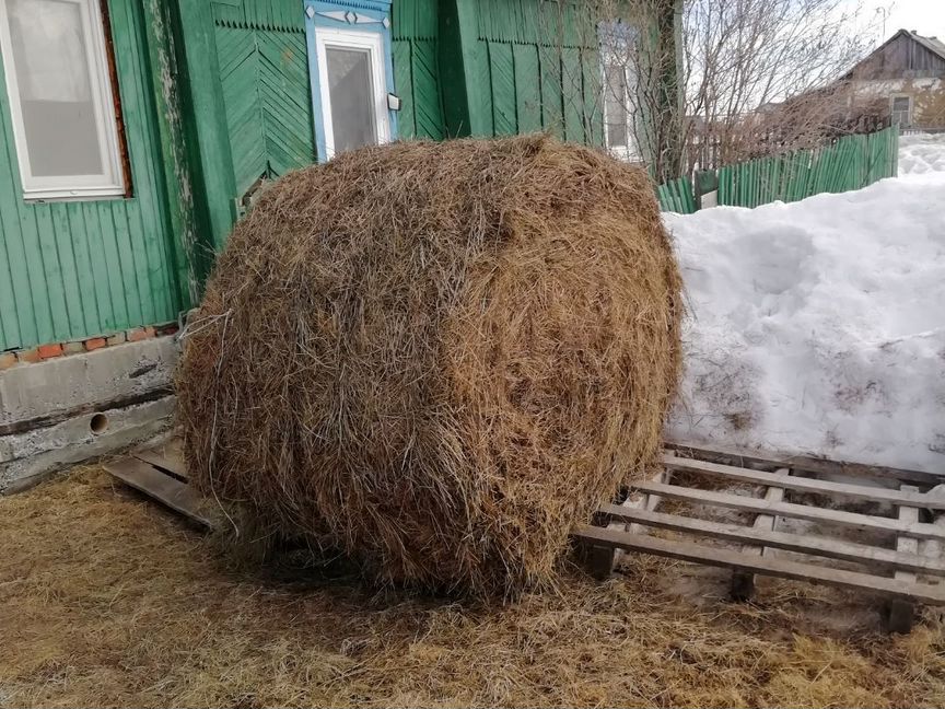 Продам сено в рулонах