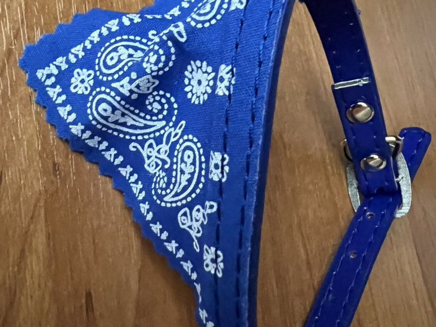 Ошейники для собаки, бабочка, новые