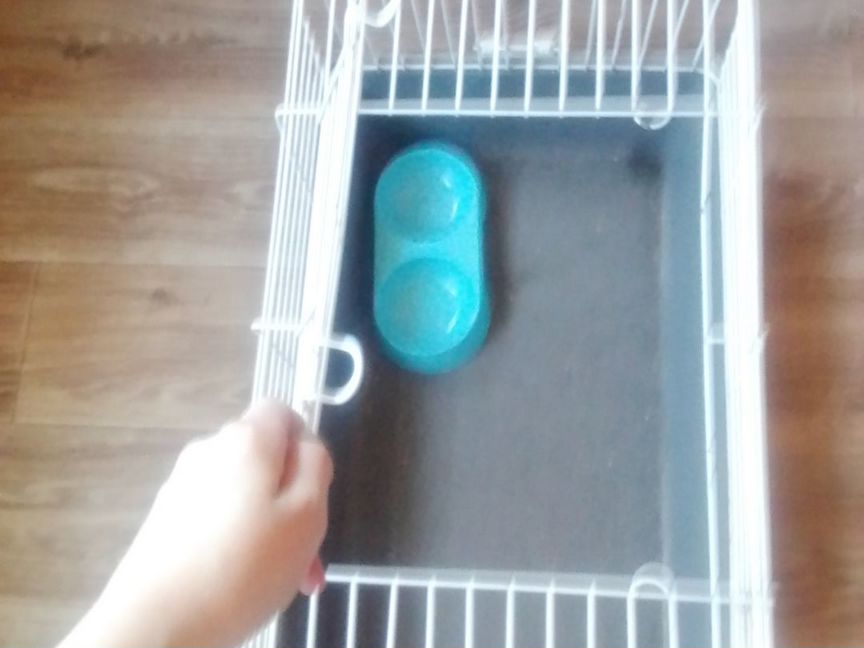 Продаю клетку для кролика