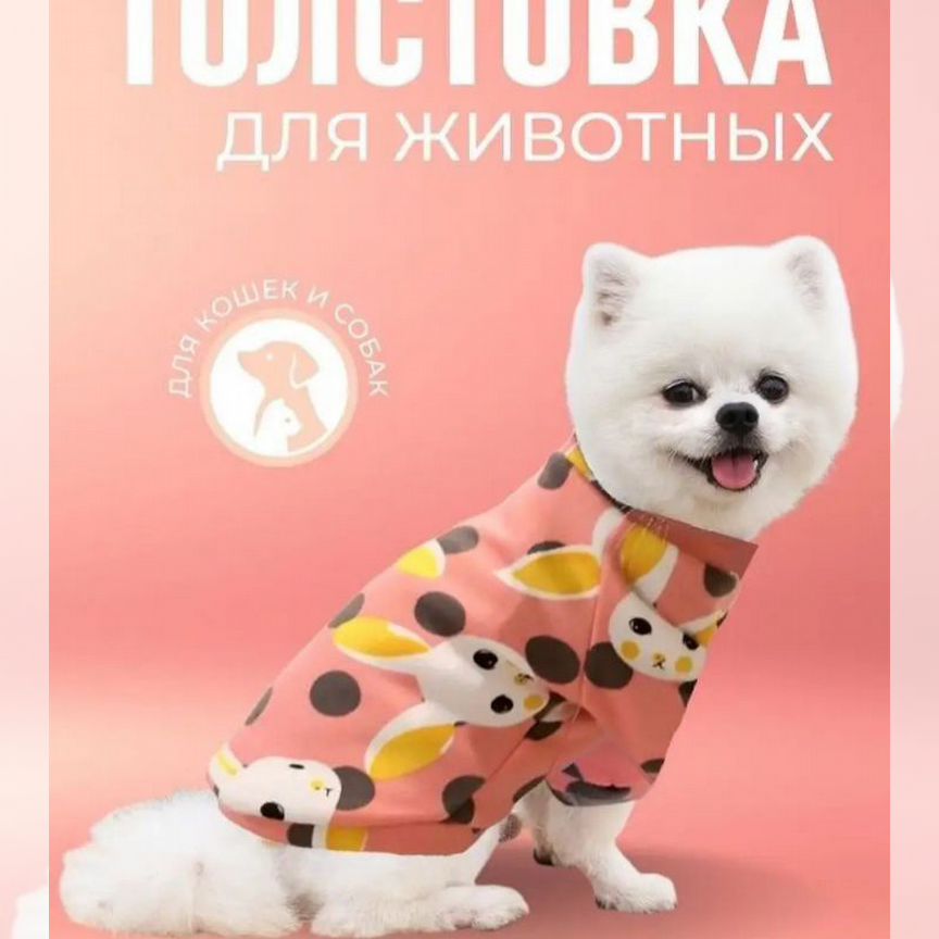 Толстовка для животных