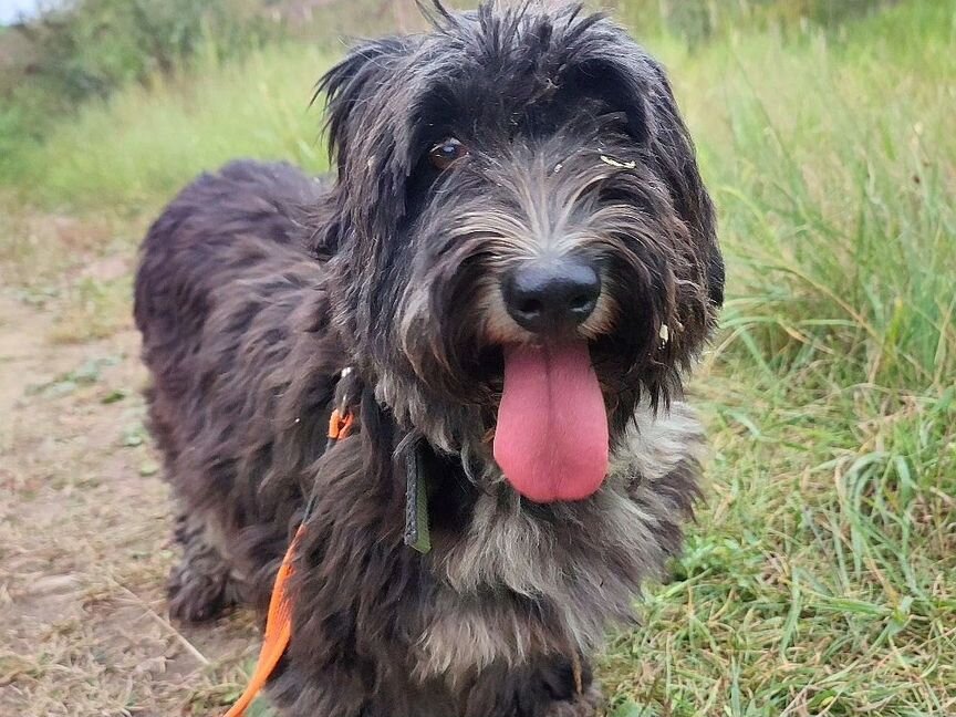 Маленькая Соня попала в приют