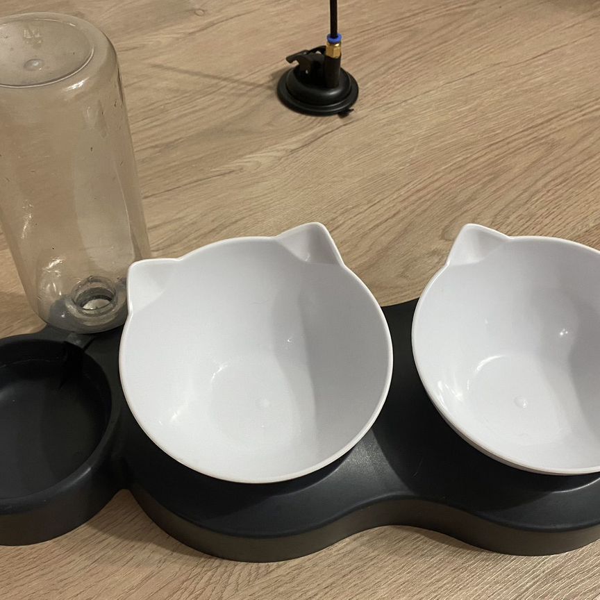 Лоток и миски для кошек