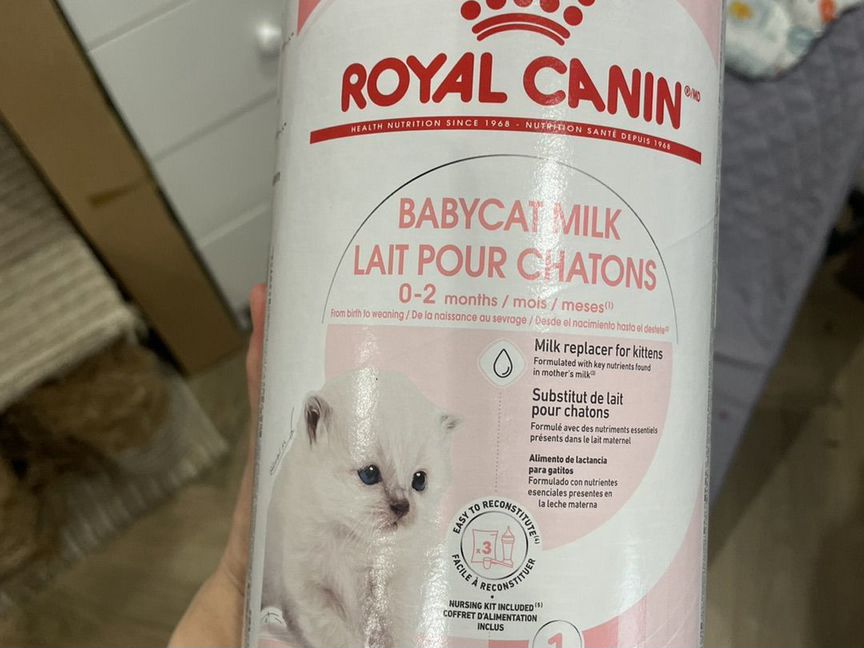 Молочная смесь Royal Canin для котят
