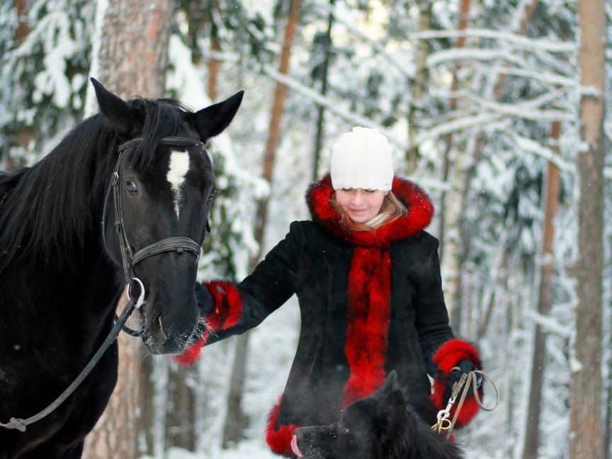 Щенки немецкой овчарки с документами. Чёрные