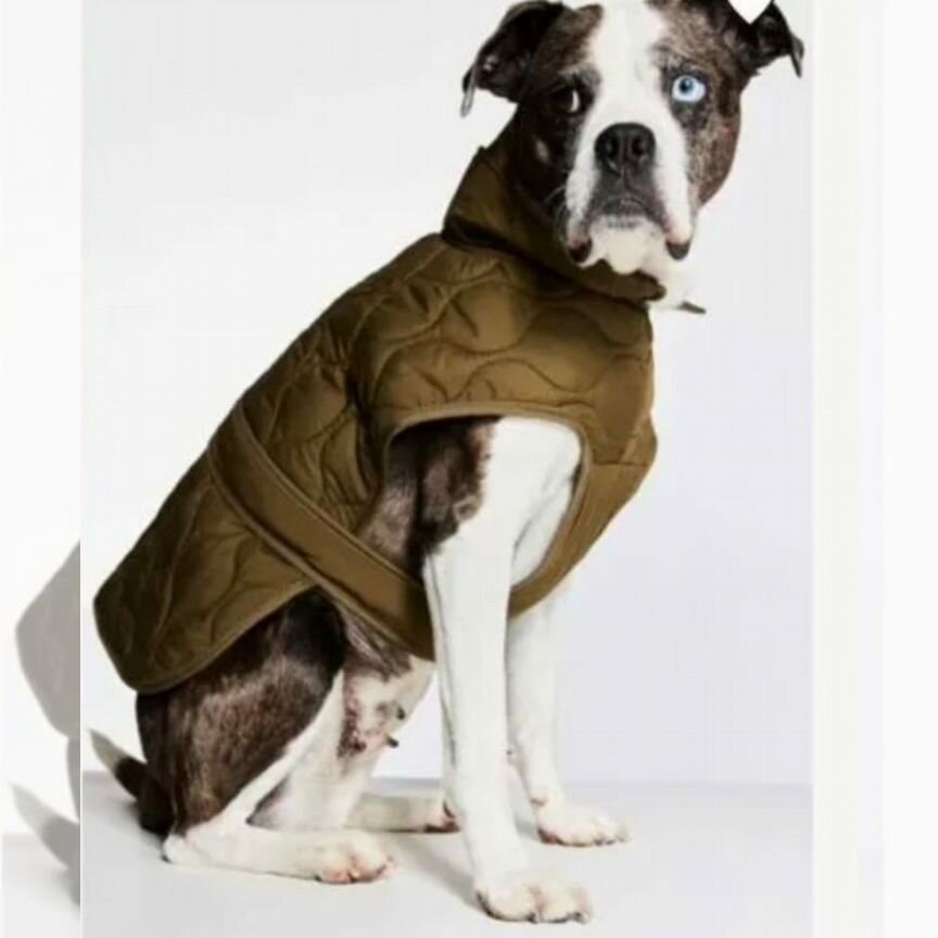 Одежда для собак Н&М новая(чёрная)