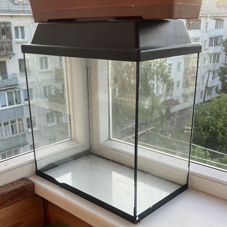 Аквариум бронь четверг