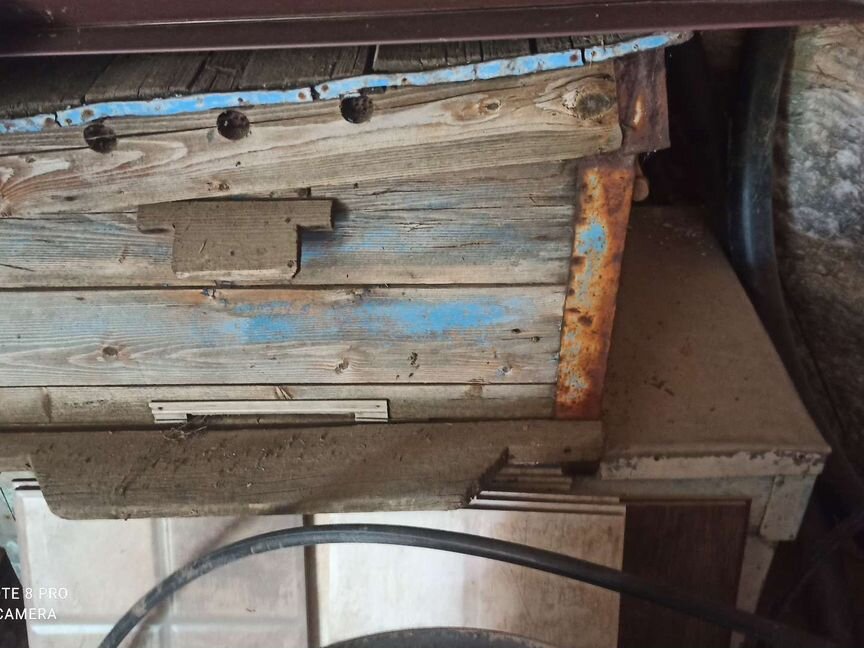 Улики для пчел