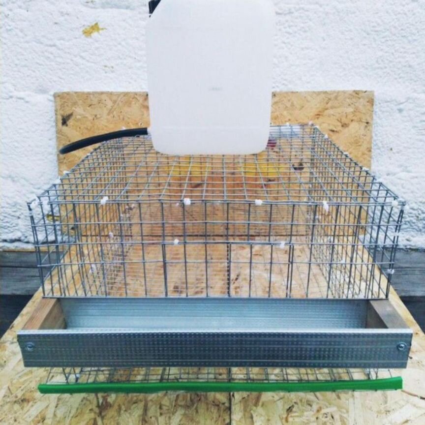 Клетки для перепелов новые