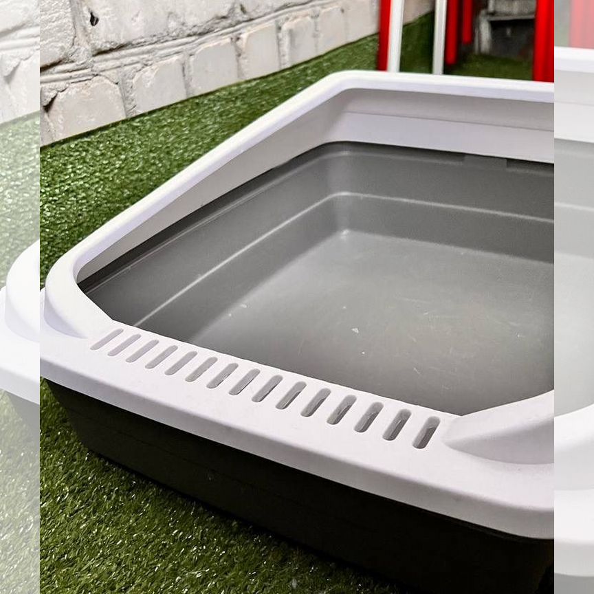 Кошачий туалет