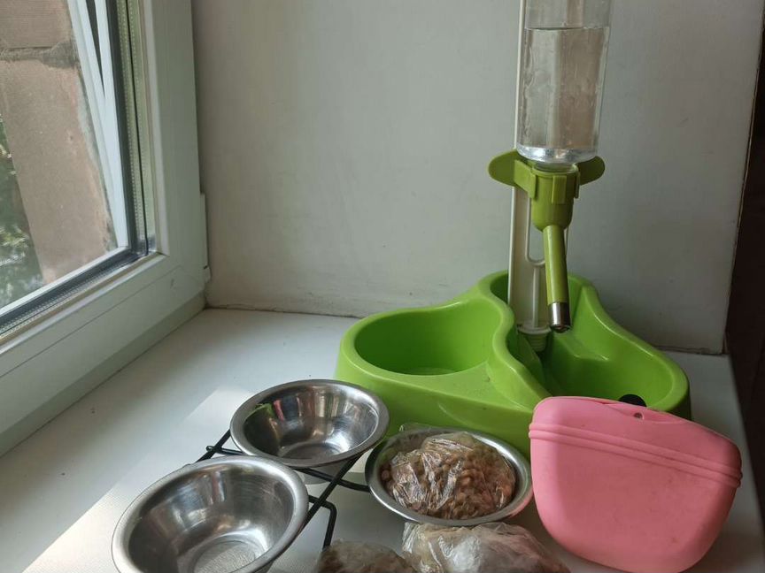 Поильник, миска, сумочка для собак: цена за всё