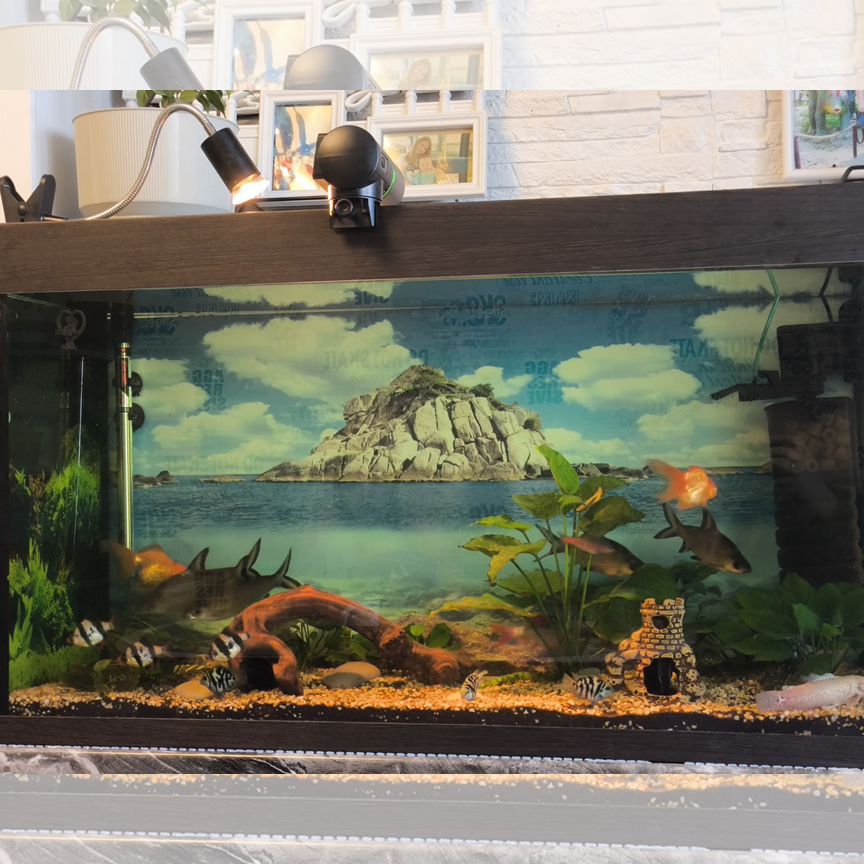 Аквариум с тумбой 280 л