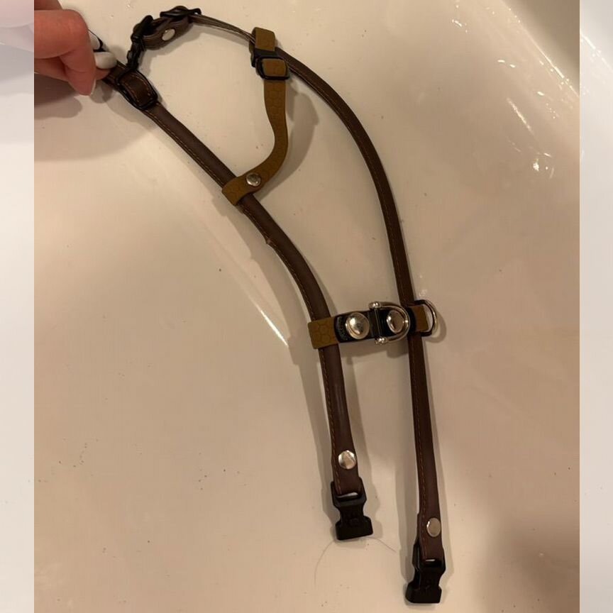 Шлейка для маленькой собаки