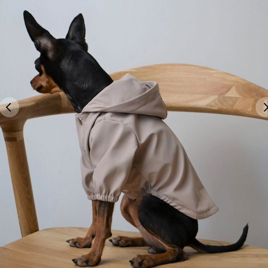 Ветровка для собак Scoby mo