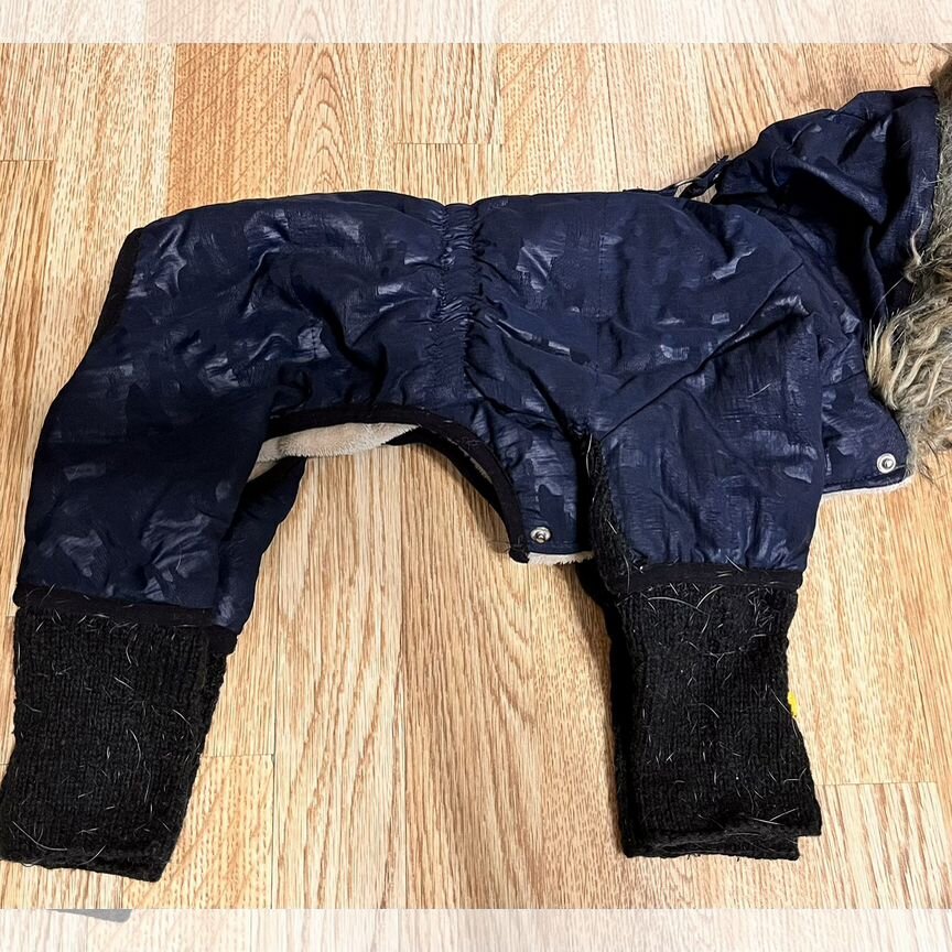 Одежда для собак. Комбинезон синий с капюшоном