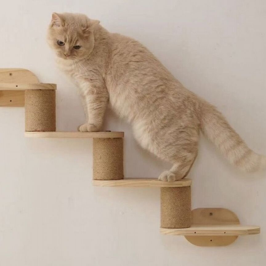 Набор для когтеточки