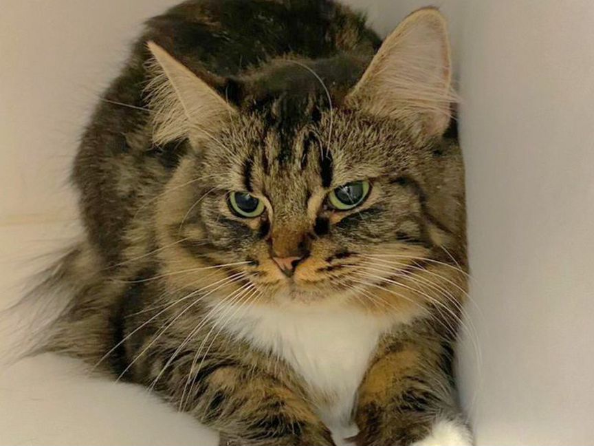 Никто не любит