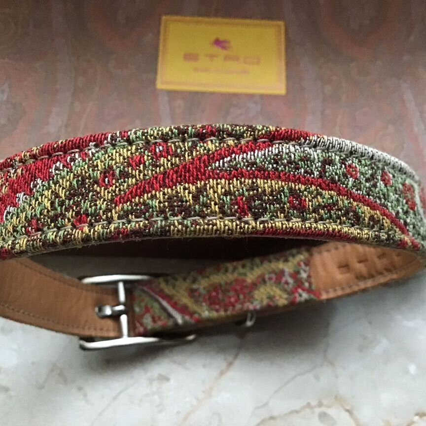 Ошейник и поводок для собак Etro оригинал