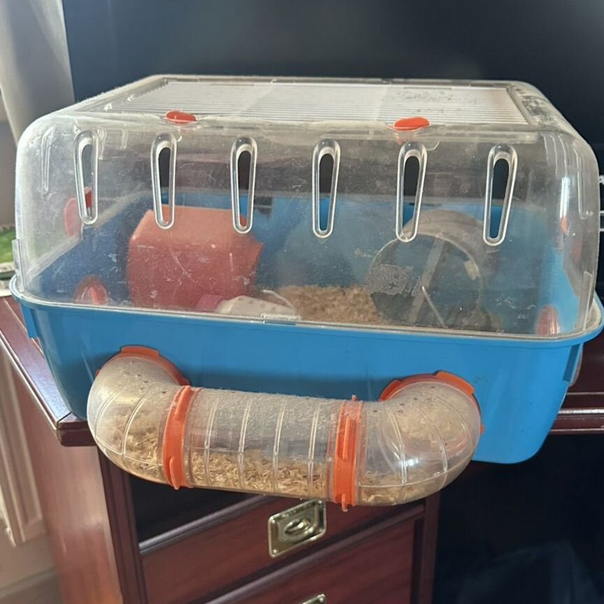 Отдам клетку для хомяка