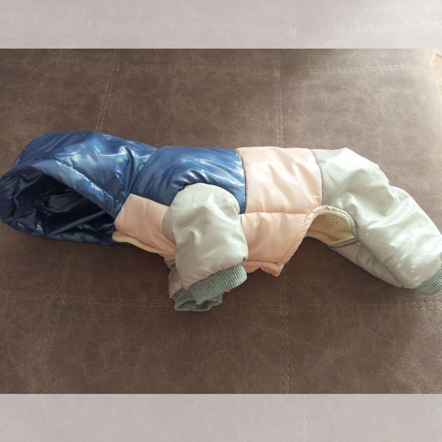 Одежда для собак мелких пород