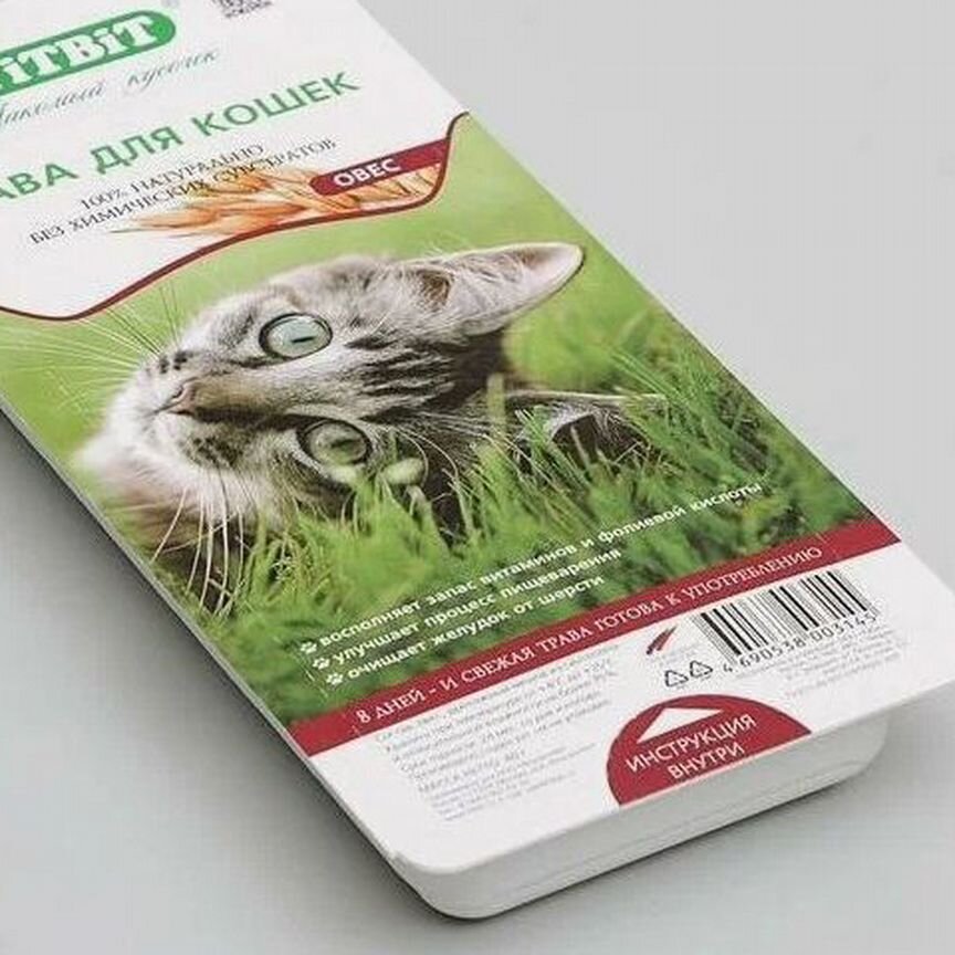 Трава для кошек
