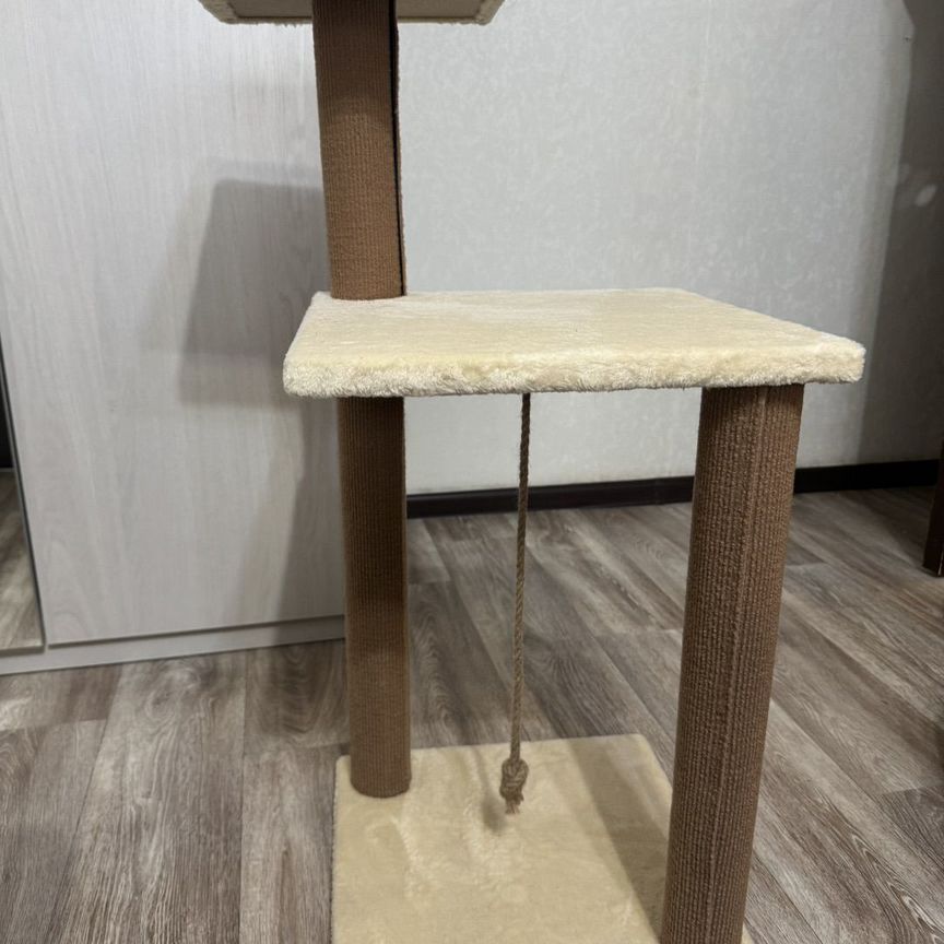 Когтеточка