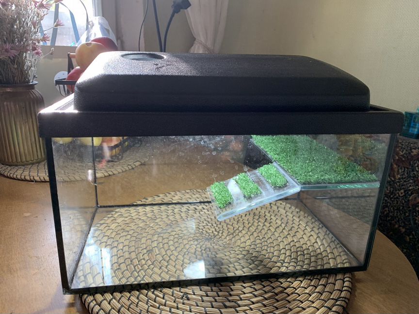 Террариум для красноухой черепахи