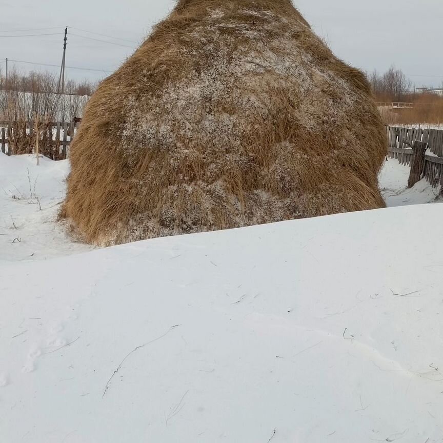 Сено