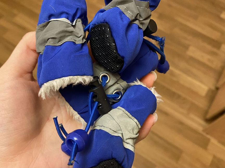 Ботинки для маленьких собак