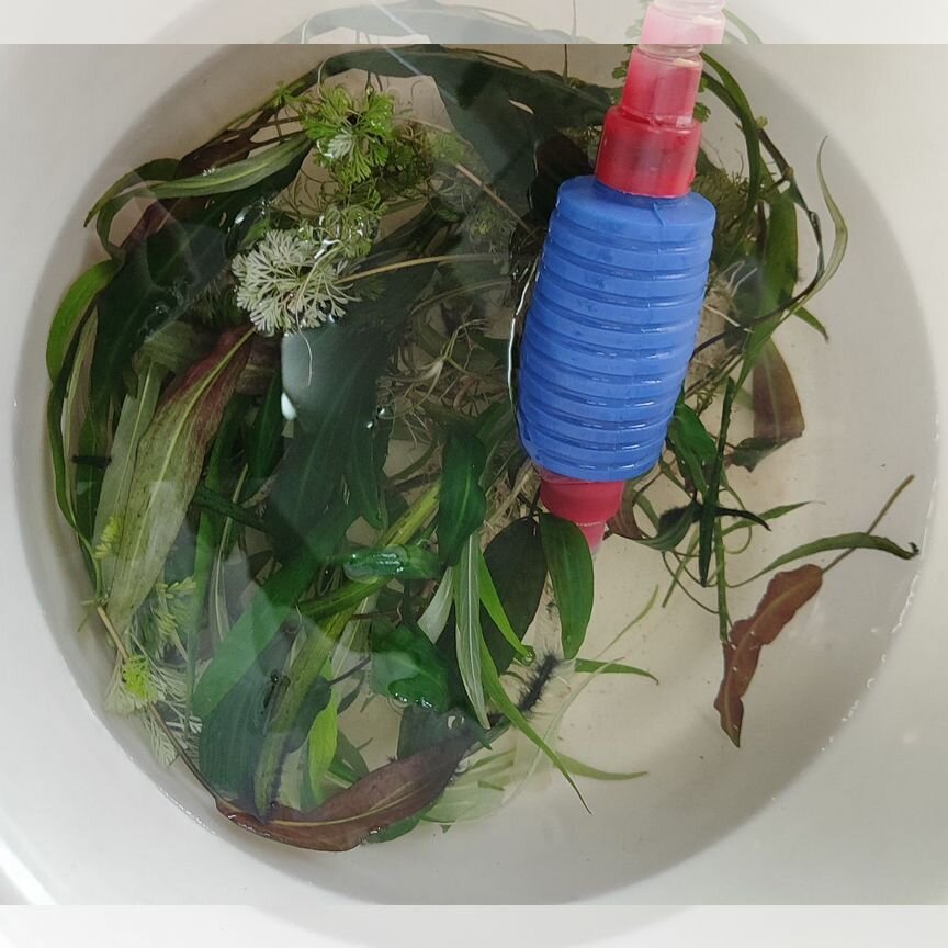 Аквариумная прополка