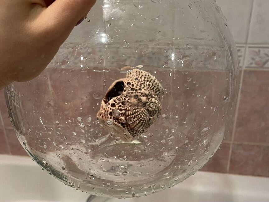 Аквариум 5 литров с игрушкой для рыбки