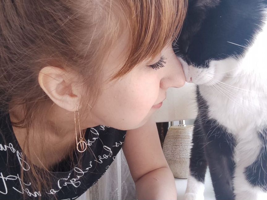 Кот