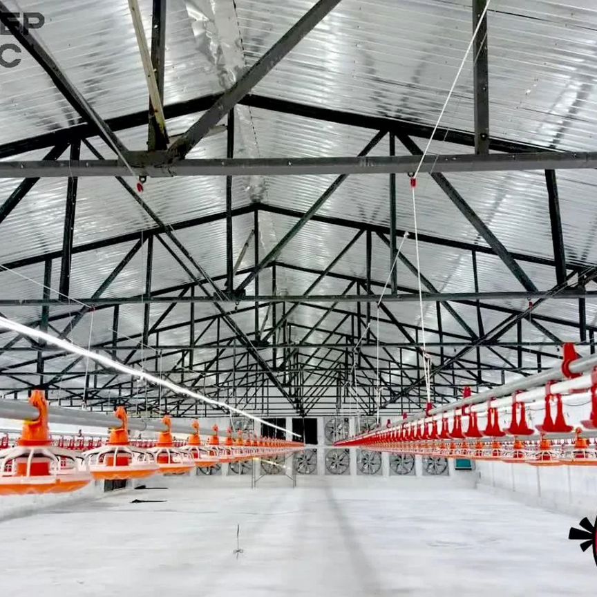 Линия кормления и поения для птиц