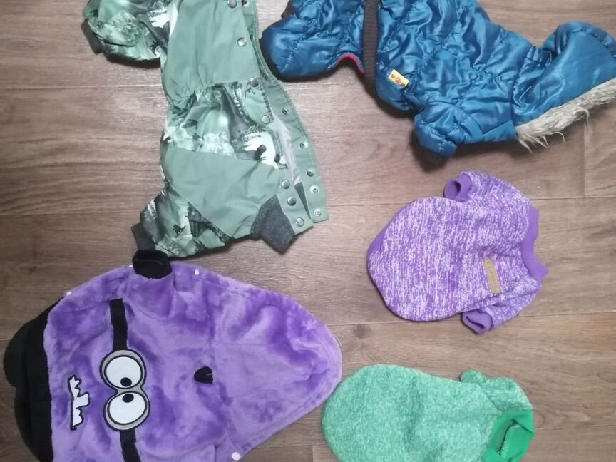 Вещи на собаку