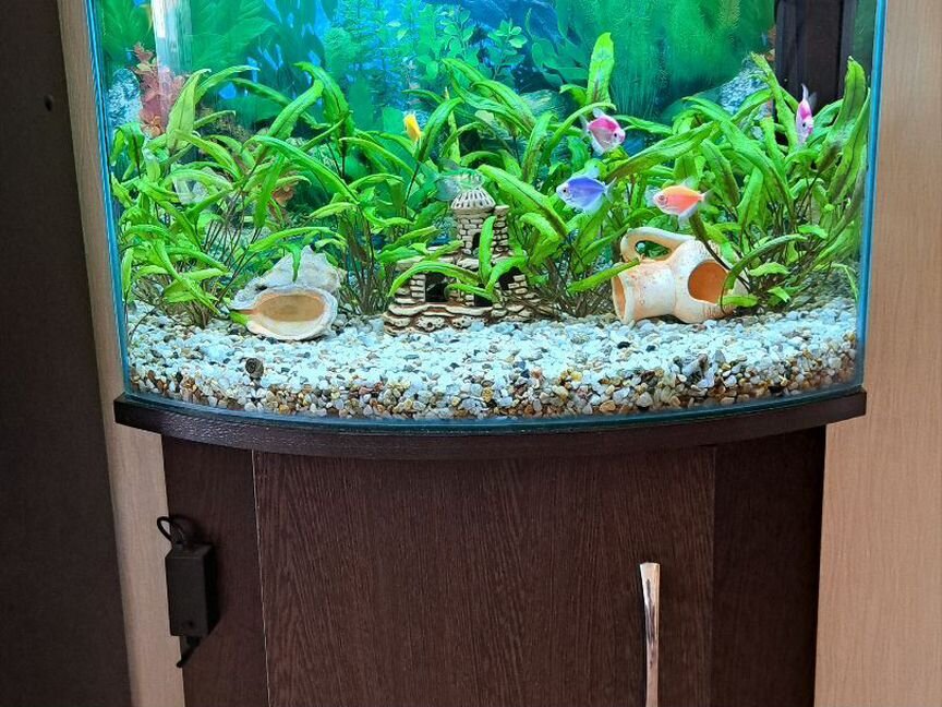 Аквариум с тумбой 58 литров со светом