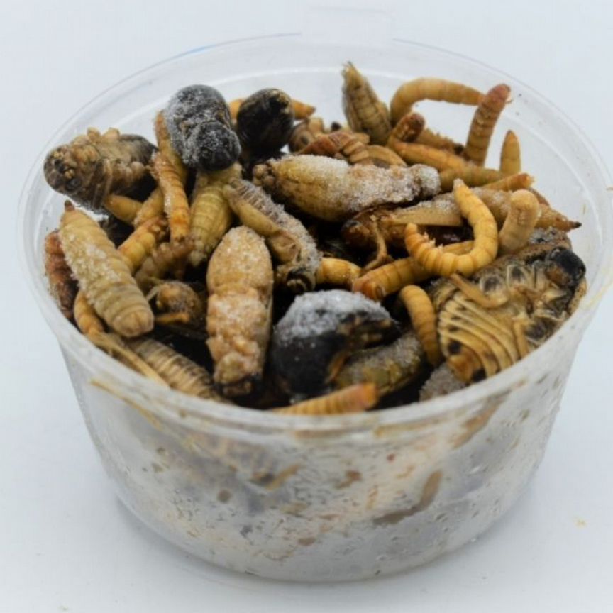Смесь насекомых микс, заморозка
